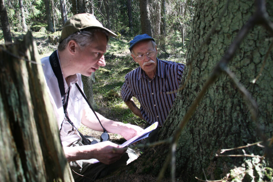 Forest sector is developing tools for nature management – Protection of ...