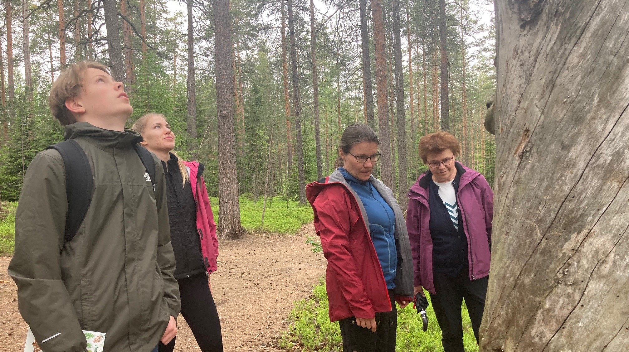 Metsäyhdistyksen blogi: Kesätöissä Suomen Metsäyhdistyksessä - Suomen ...